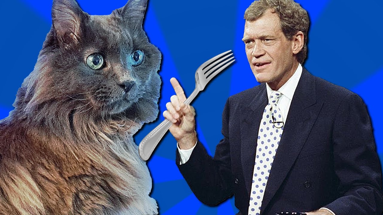 The Time David Letterman Ate My Cat - YouTube