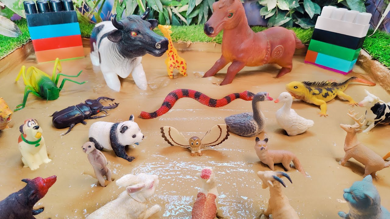 25 Farm Animals and Insects Reptiles Muddy Adventure | Fun Learning for ...