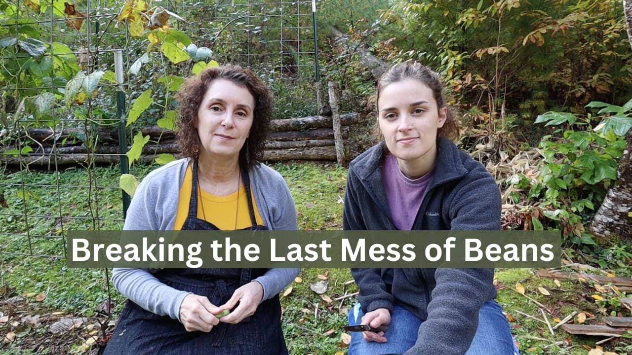 Breaking Beans & Catching Up in Appalachia | Fall of the Year, Long ...