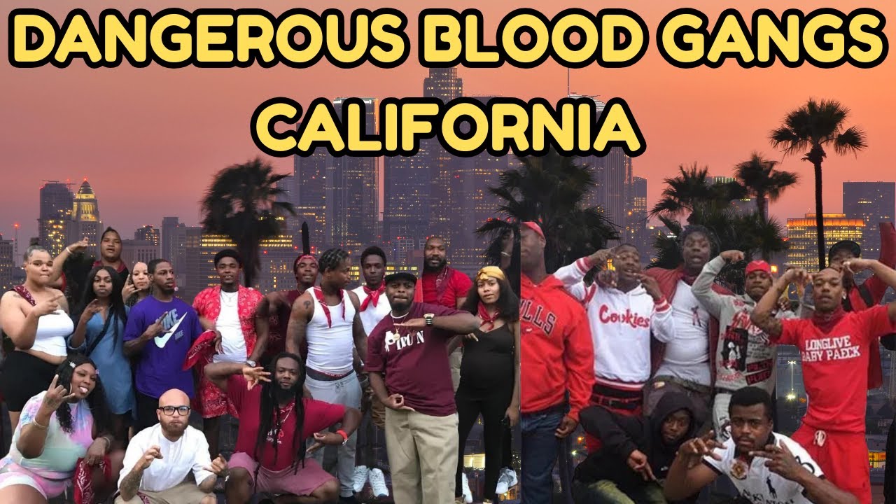 dangerous blood gangs california - YouTube