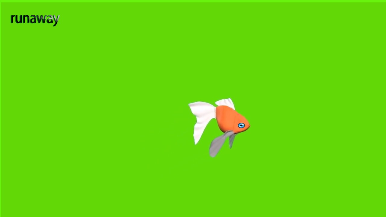 Fish Green Screen Video Animation - YouTube