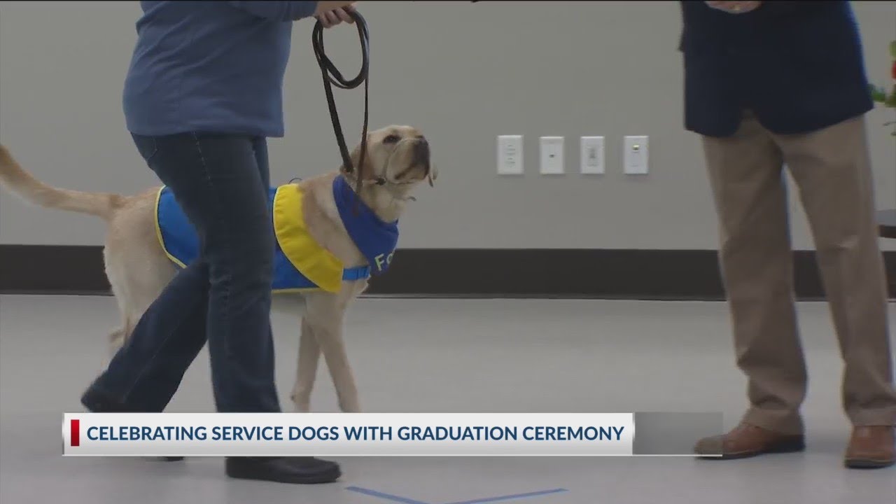 Canine Companions hosts graduation ceremony - YouTube