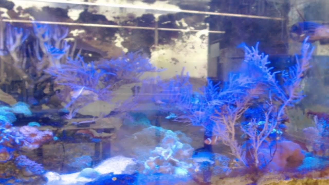 Matt Klapper Live Stream - YouTube