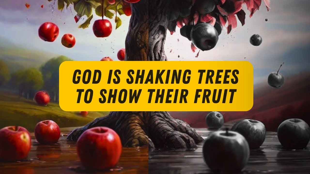 God is shaking trees to show their fruit 🍎 - YouTube