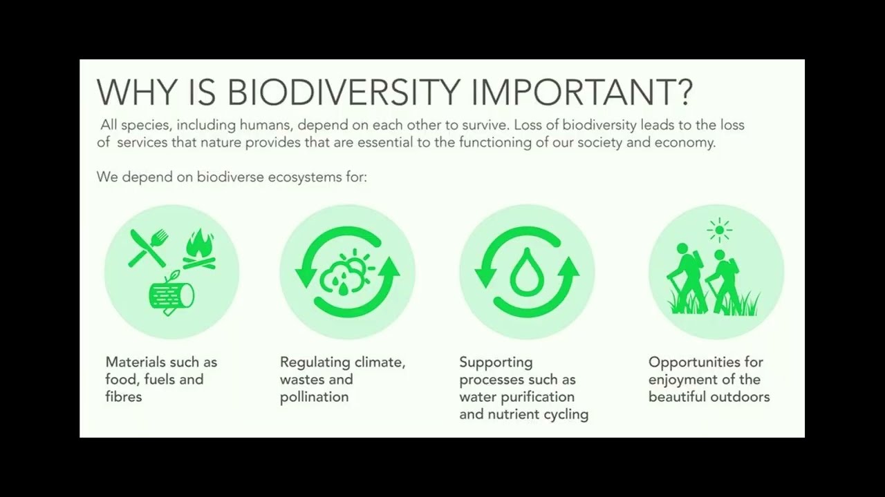 Biodiversity Week 2024: Cork Nature Network - YouTube
