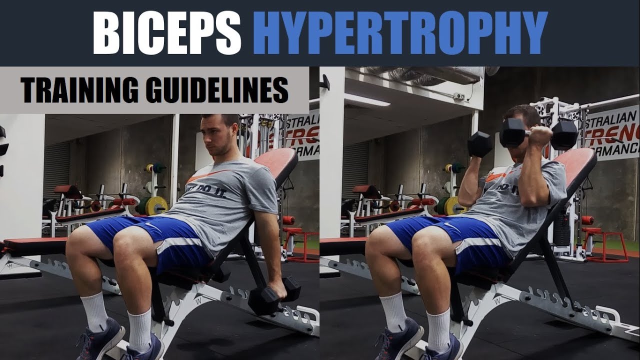Hypertrophy Training Guidelines | Biceps - YouTube