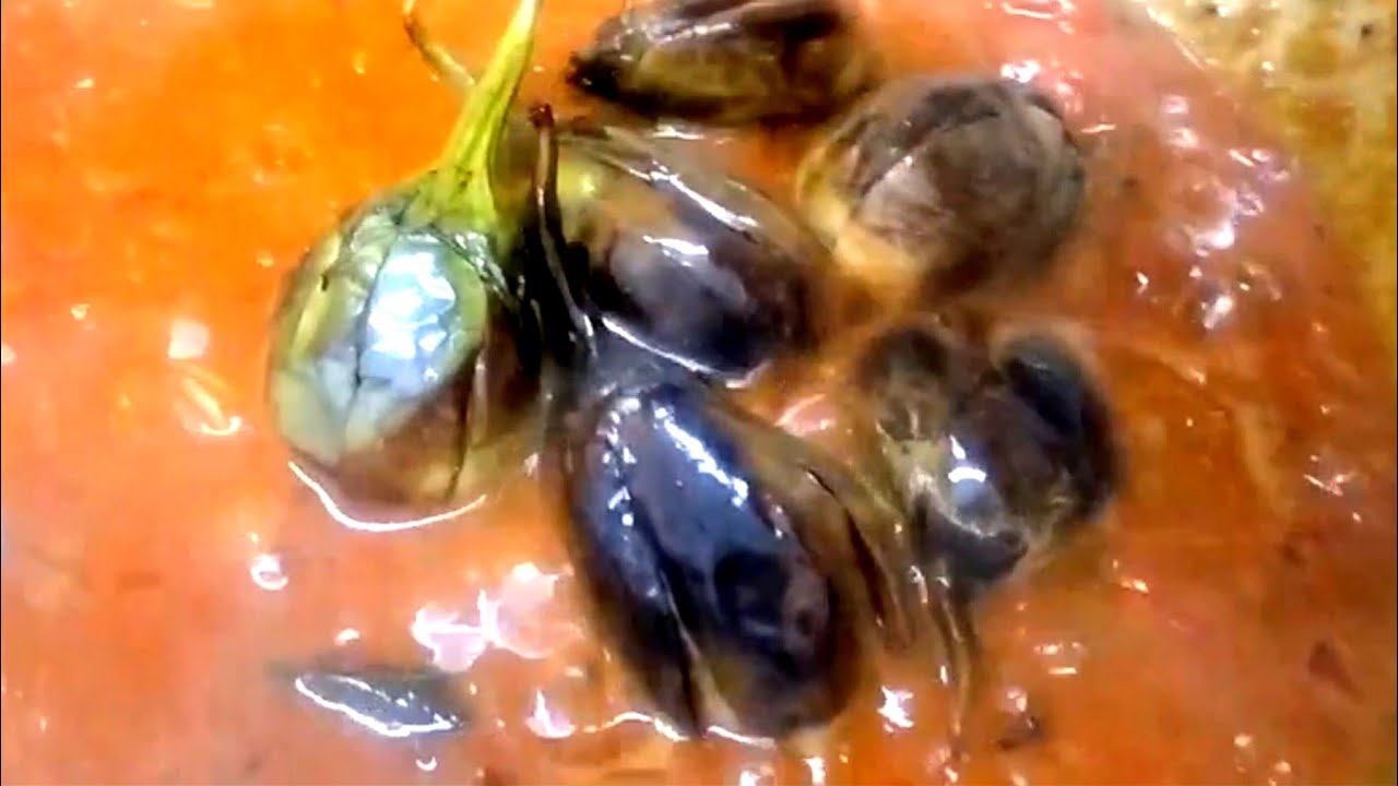 ஐயர் வீட்டு கத்திரிக்காய் வத்த குழம்பு/iyar veetu kathirka vathakulambu ...