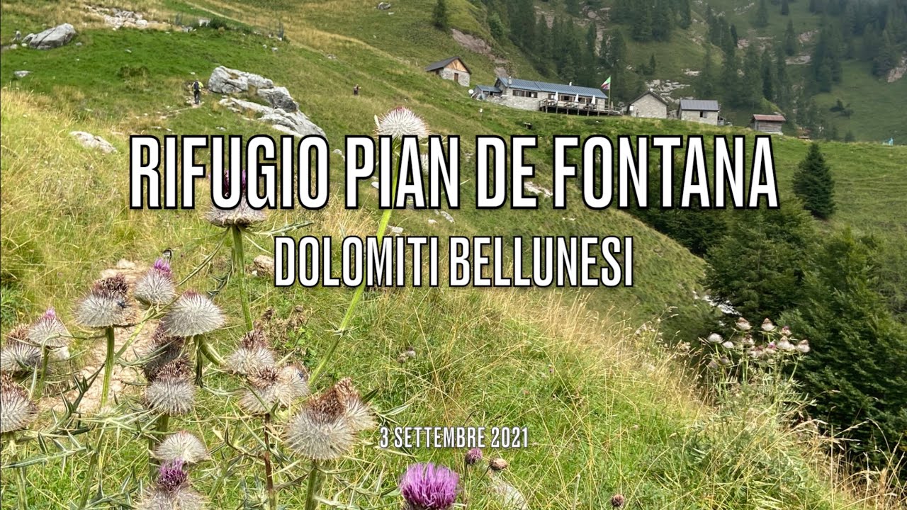 Rifugio Pian de Fontana per la Val Grisol - DOLOMITI BELLUNESI - YouTube