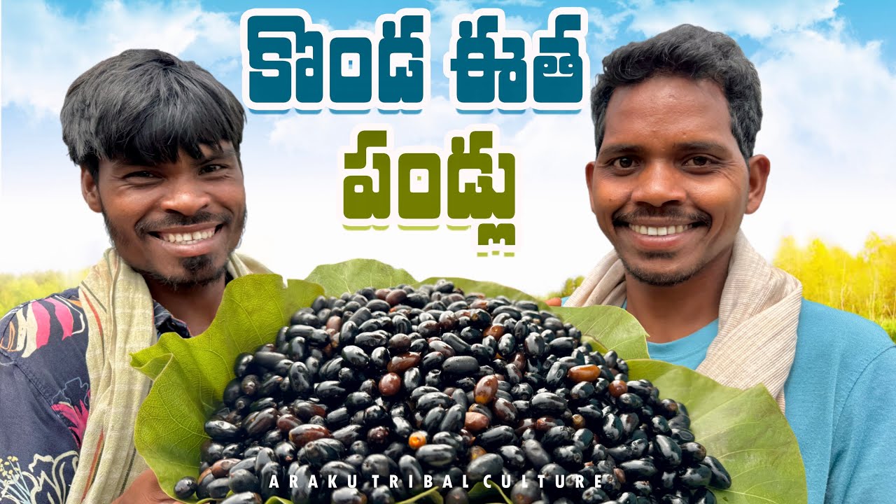 Wild Dates : Etha Pandlu || కొండ ఈతపండ్లు || వేసవిలో మాత్రమే దొరికే ...