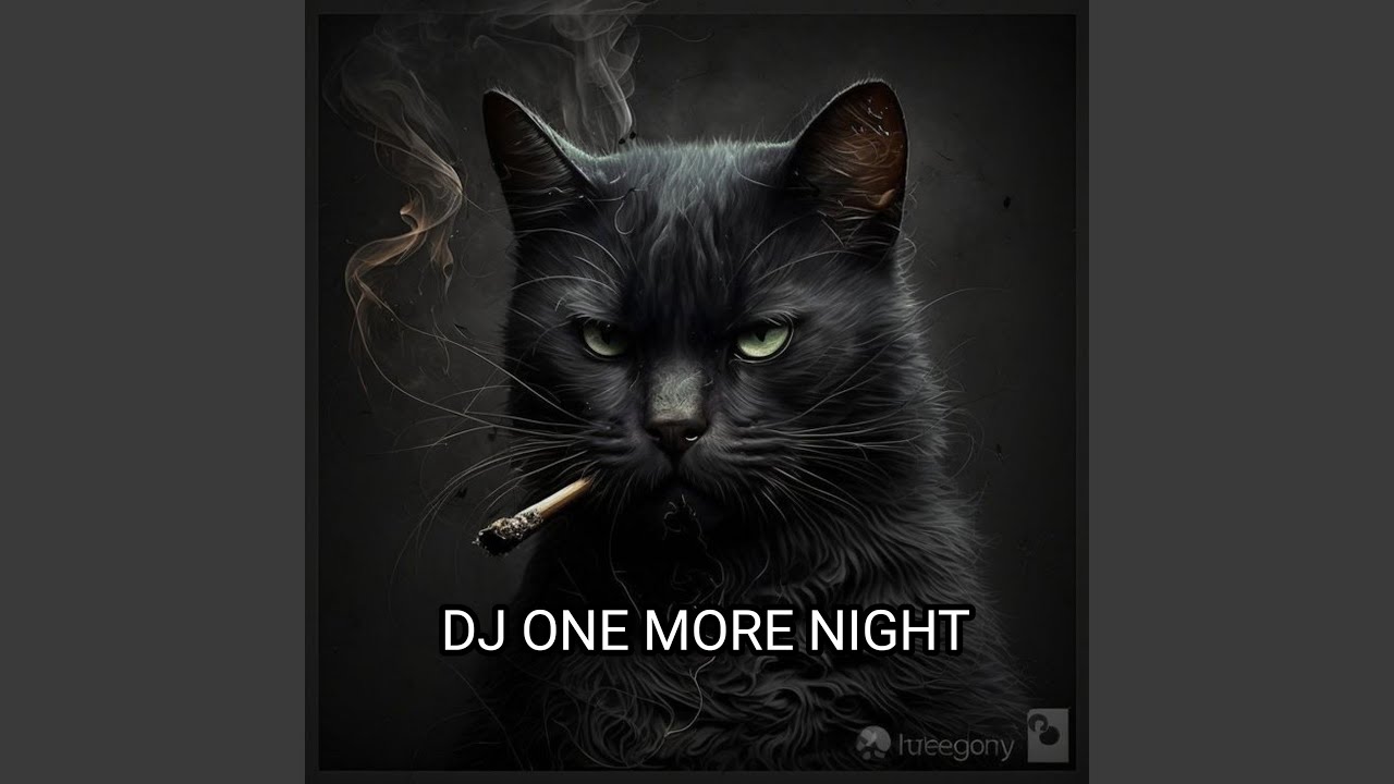 DJ ONE MORE NIGHT - YouTube Music