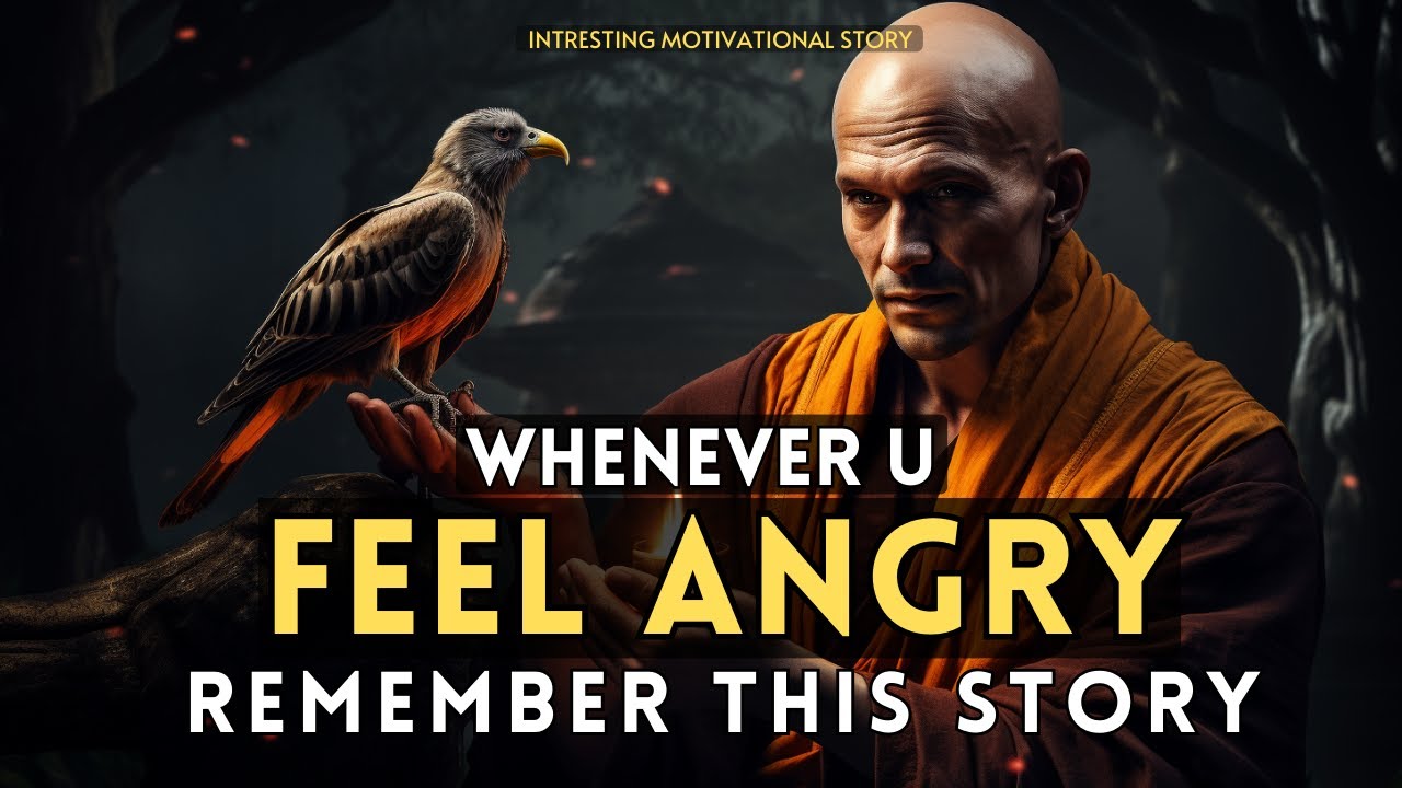 You Will Never Get Angry After This || The Buddhist Monk And Parrot ...
