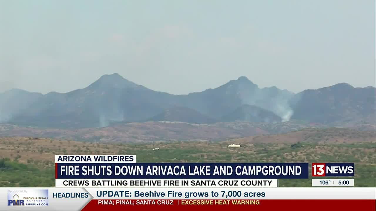 Beehive Fire interrupts holiday plans - YouTube
