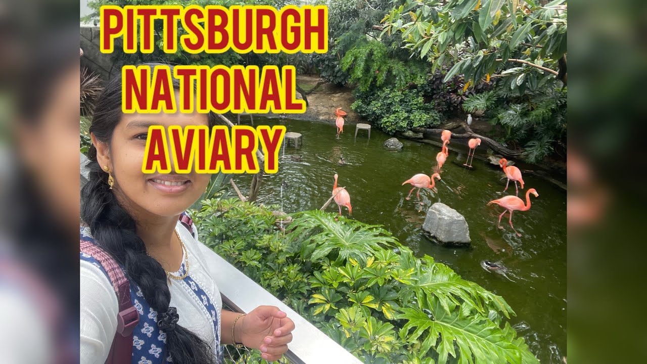 Pittsburgh National Aviary| outdoor aviary| pittsburgh #travelvlog # ...