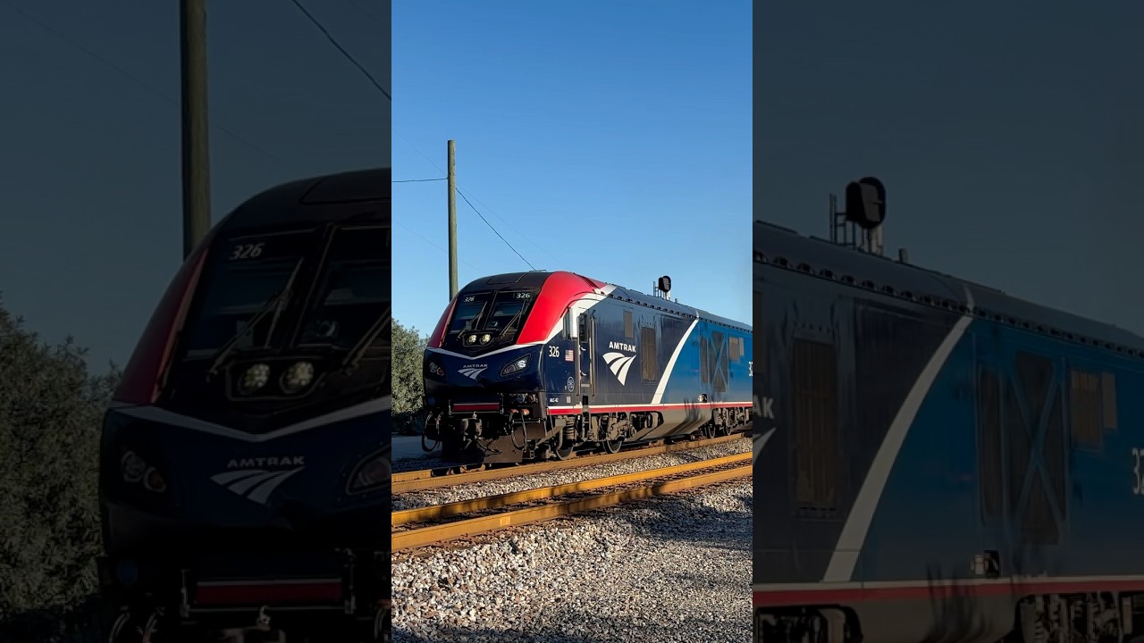 NEW!! Amtrak 41 “Floridian” SB in Jacksonville FL #railway #railfan ...