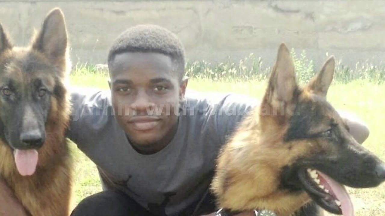 Zan Kennel Ghana (German Shepherd Breeder) - YouTube