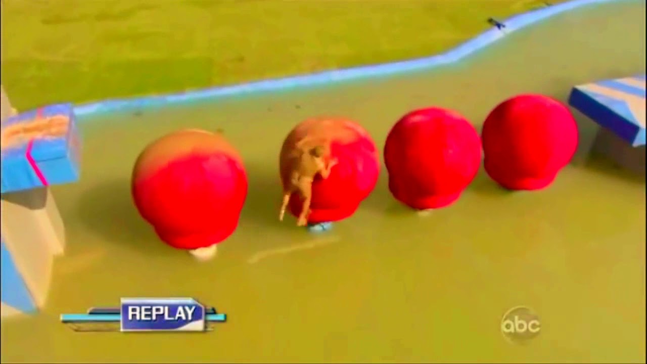 Bản sao của Wipeout Funny moments Fails #2 HD - YouTube