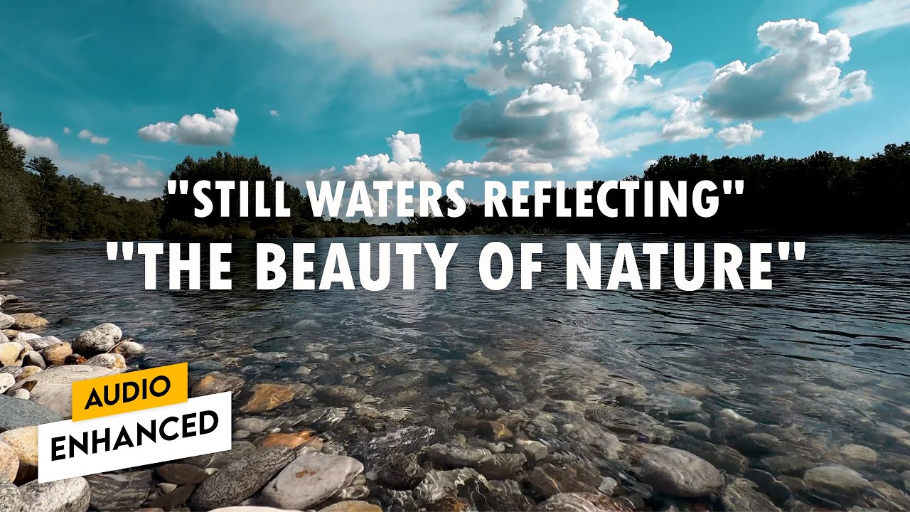 Calm Water Drift Amongst Trees: A Relaxing Meditation Experience 💧🌲🧘‍♀️ ...