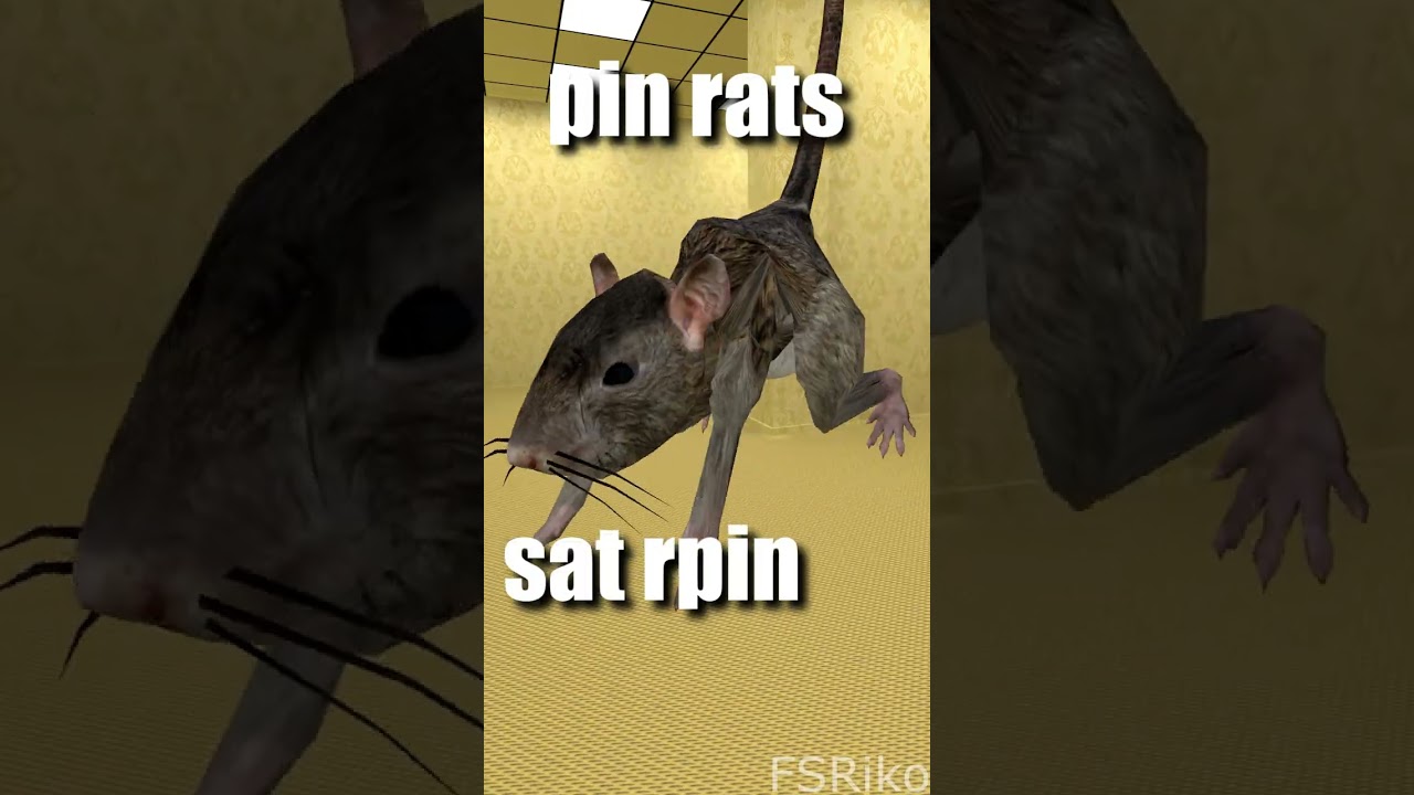 👀SUSS Rat in the Backrooms🐀 - YouTube