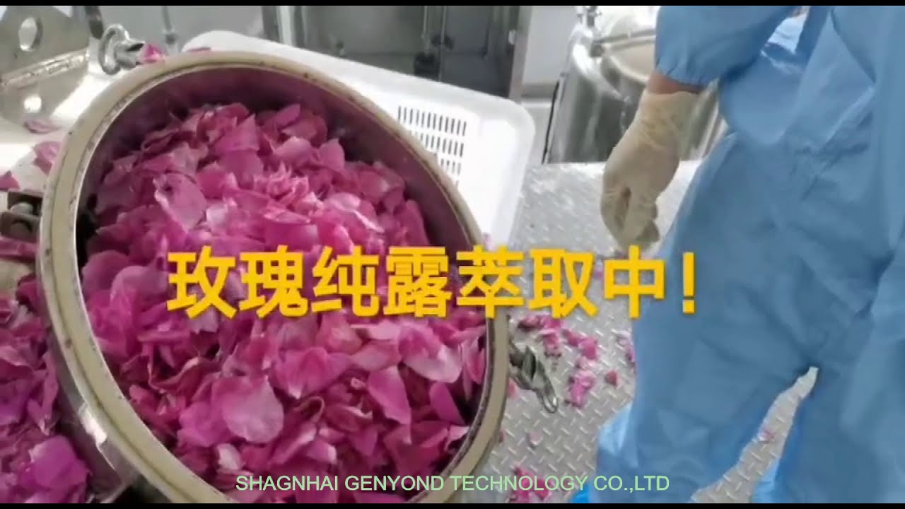 rose flower plant herbs essential oil extraction distillation distiller ...