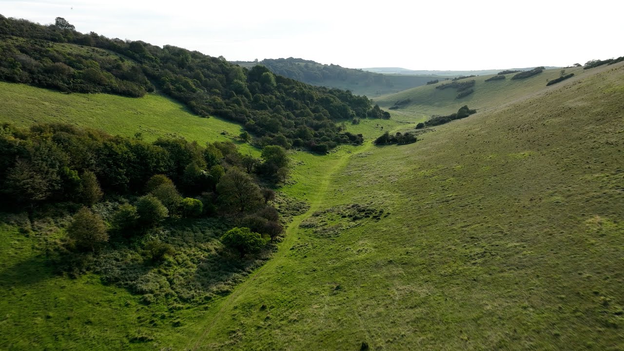 Nature Recovery Network: Seaford to Eastbourne Nature Recovery Project ...