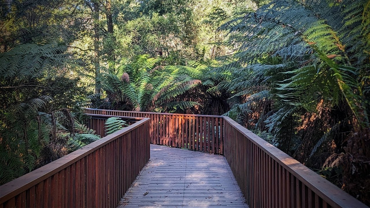 Kaya Project Mix (World Fusion) - YouTube