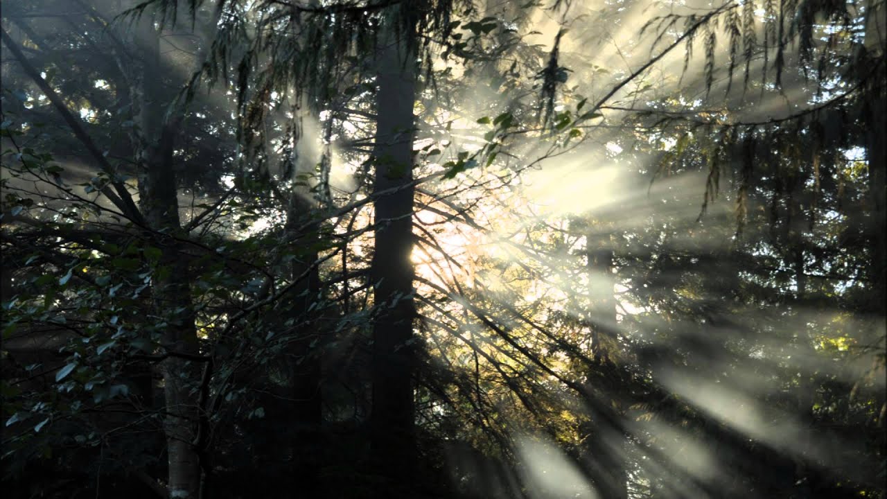 Uncreated Light - YouTube