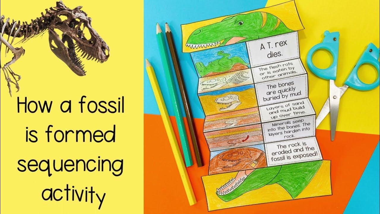 How a fossil is formed sequencing activity free PDF download - YouTube