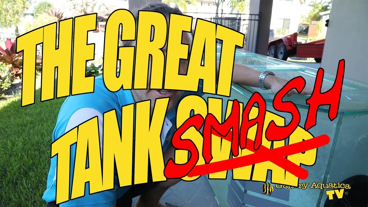 The Great Tank SMASH --- Gallery Aquatica TV - YouTube