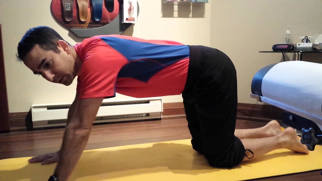 Cat / Camel Segmentation of the Spine - YouTube