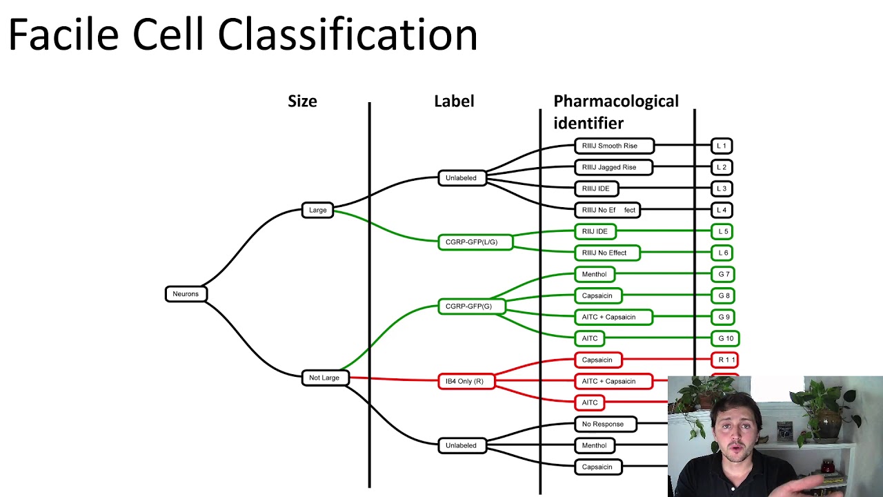 CytoData2020 | Lee Leavitt - YouTube
