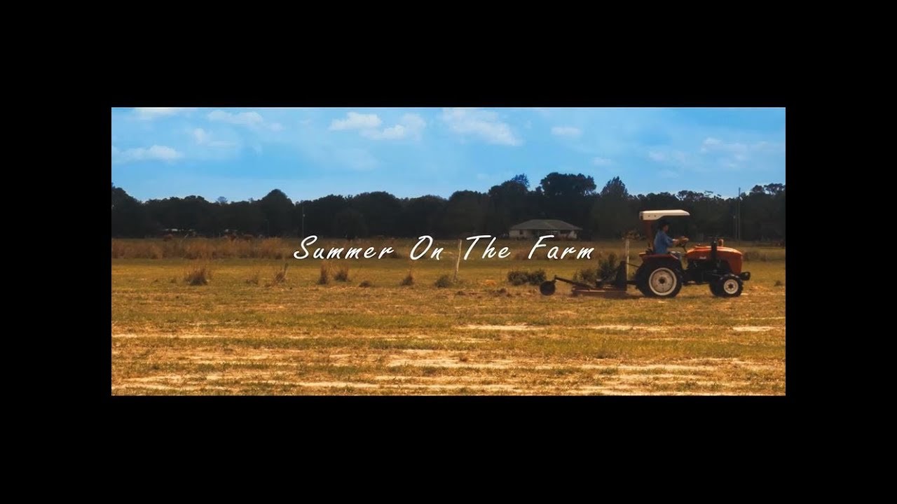 Summer On The Farm (Short Film) - YouTube