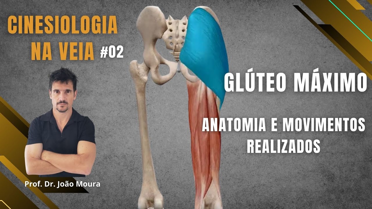 GLÚTEO MÁXIMO COMO EXTENSOR E ROTADOR EXTERNO DO QUADRIL ...