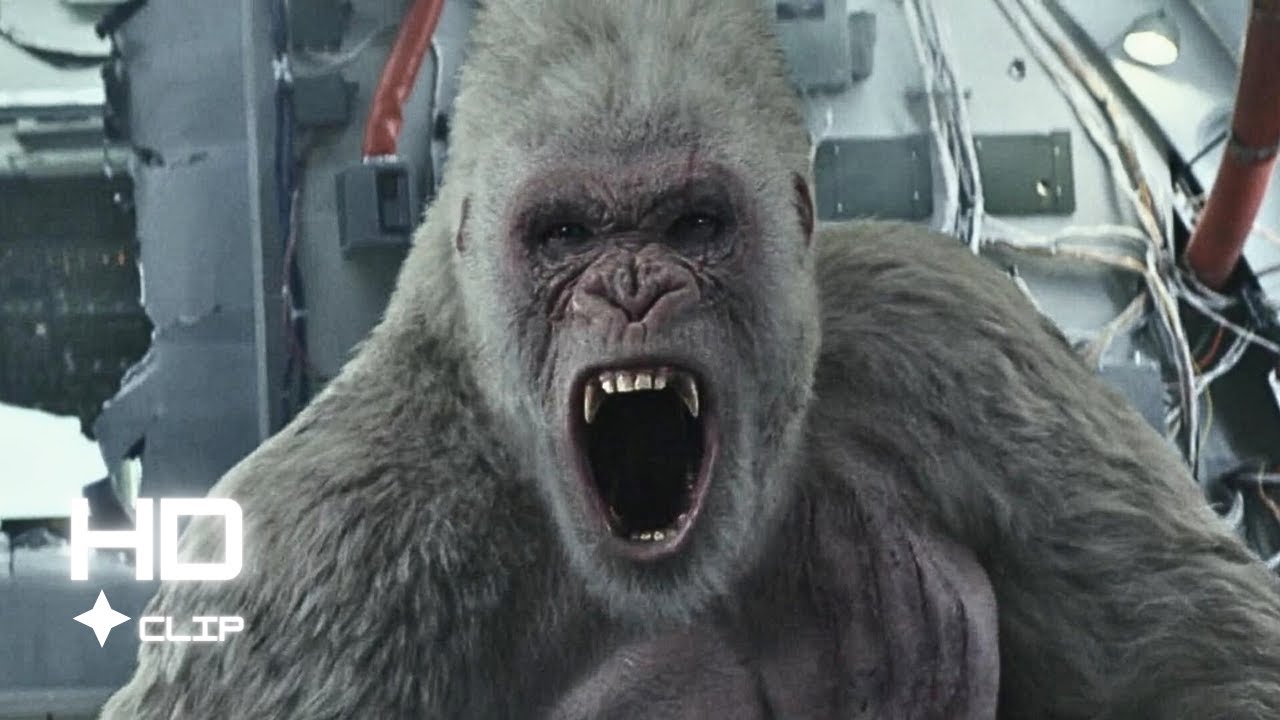 Rampage (2018) - Airplane Fall Down Attack scene | HD Movie Clip - YouTube