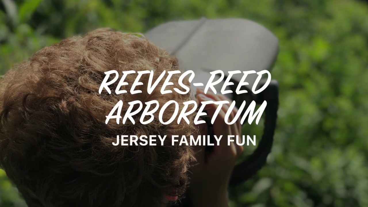 Reeves Reed Arboretum in Summit NJ - YouTube