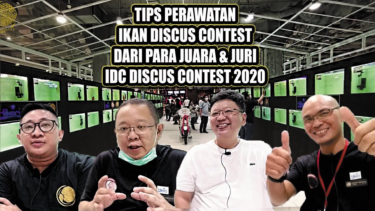 TIPS PERAWATAN IKAN DISCUS CONTEST DARI PARA JUARA & JURI IDC DISCUS ...