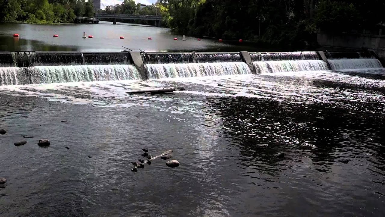 Red Cedar River at the Brenke Fish Ladder, Lansing - YouTube