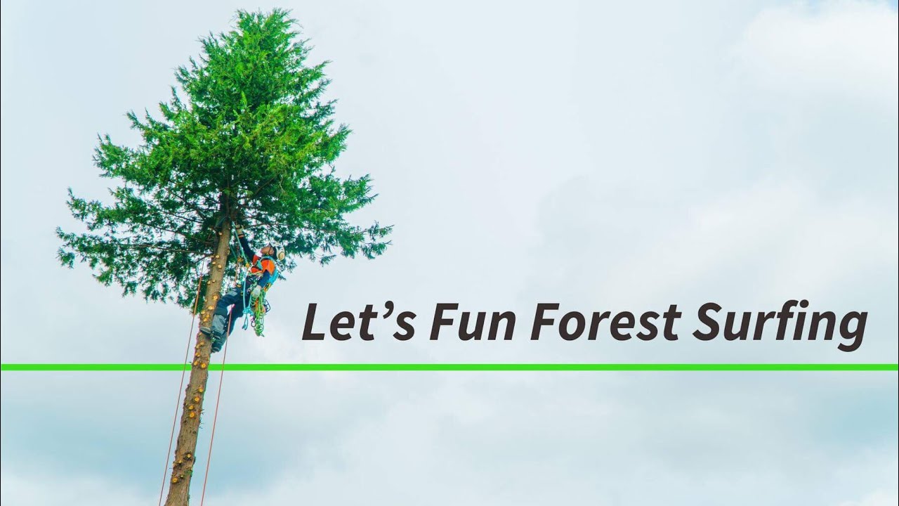 Let's Fun Forest Surfing - YouTube