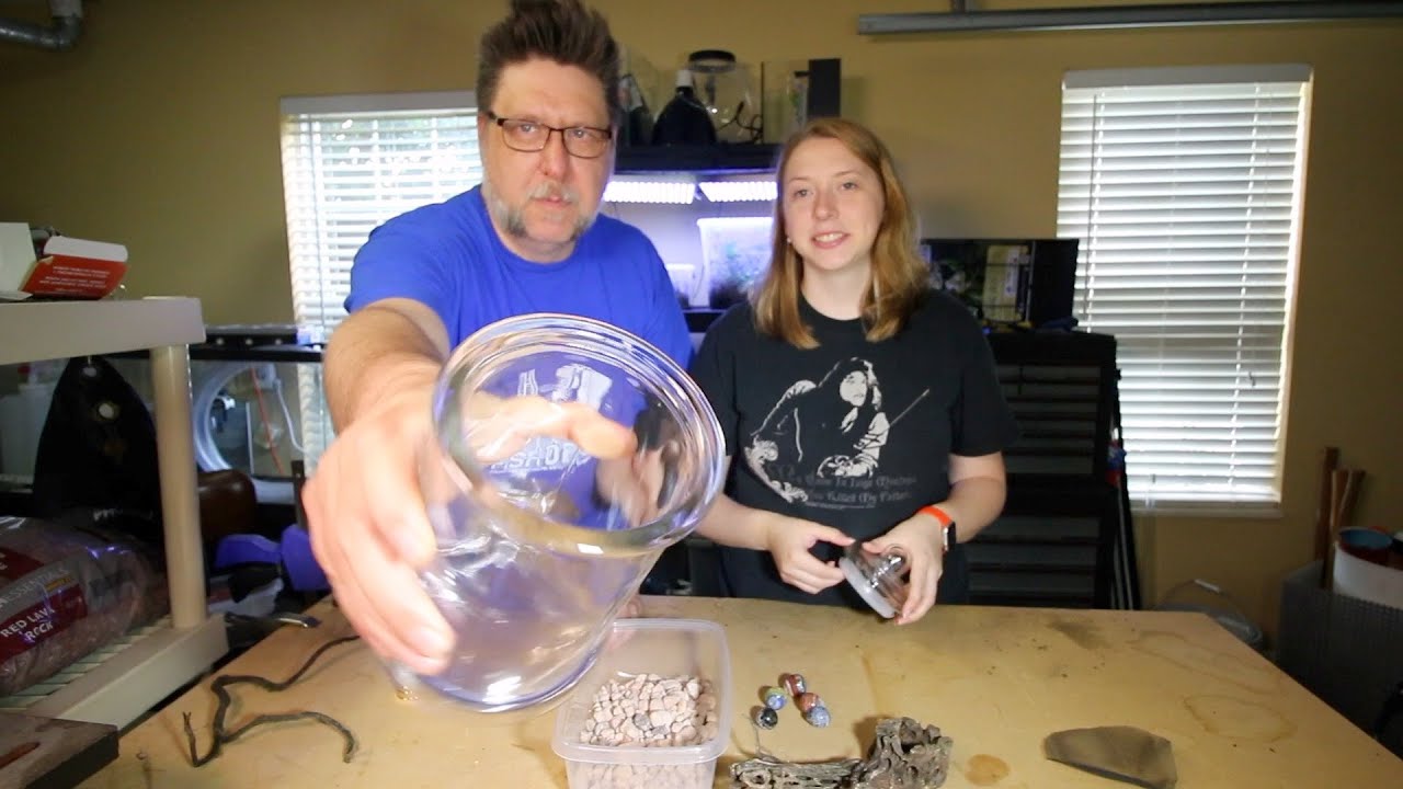 Our First Terrariums (Father Daughter Project) - YouTube