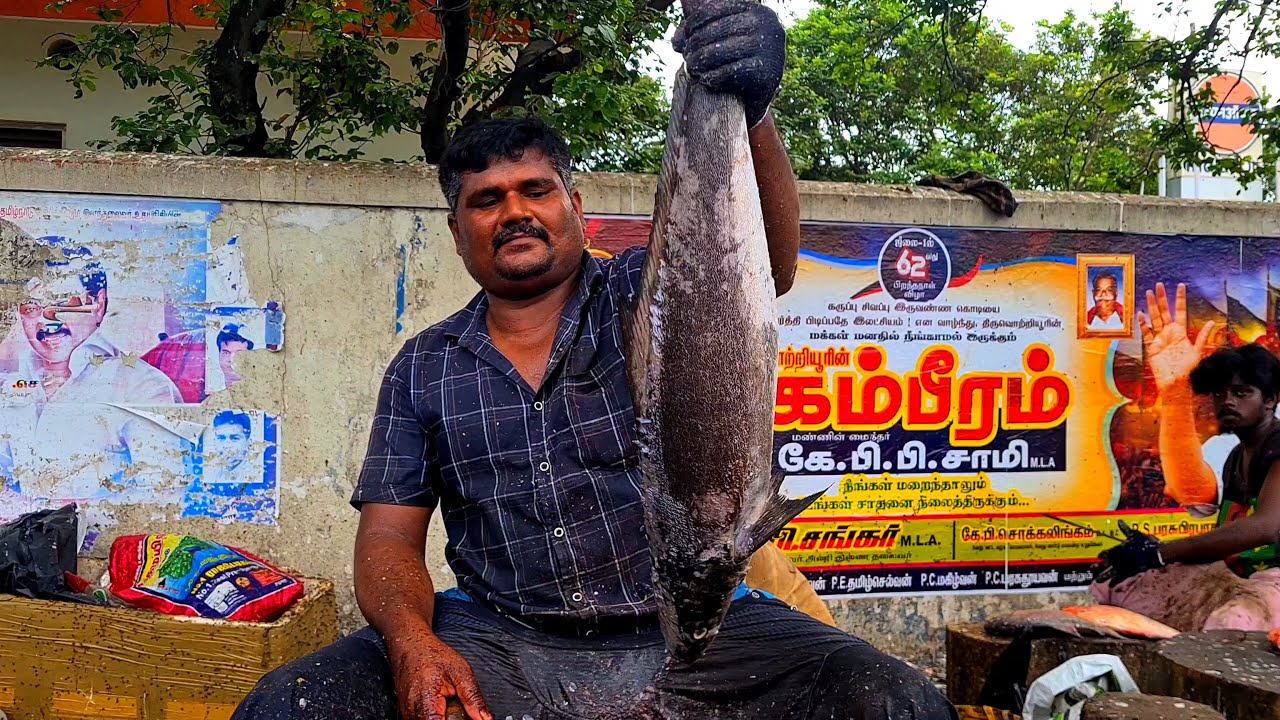 KADAL VIRAL FISH CUTTING 🔥 EARLY MORNING KASIMEDU FISH MARKET # ...