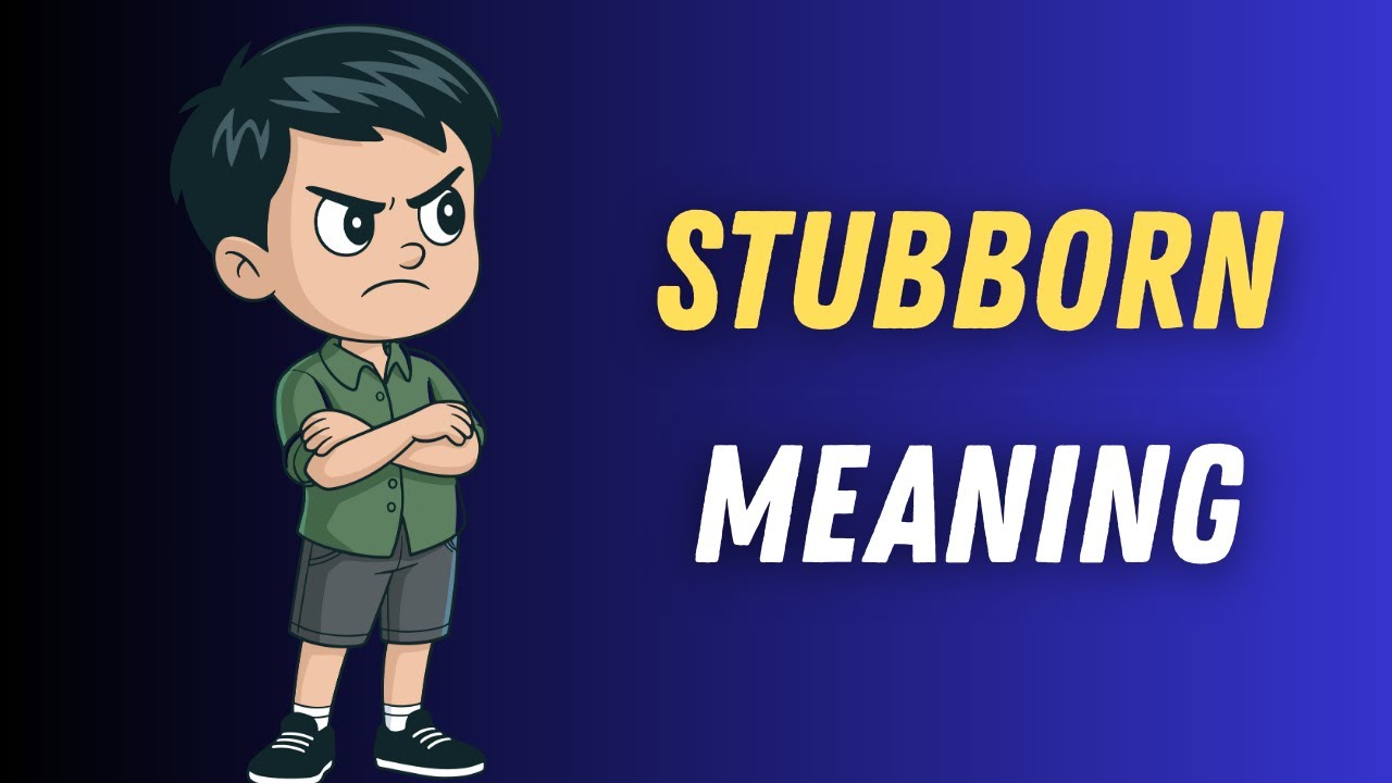 Stubborn Meaning in English | Stubborn Explained Simply with Examples ...