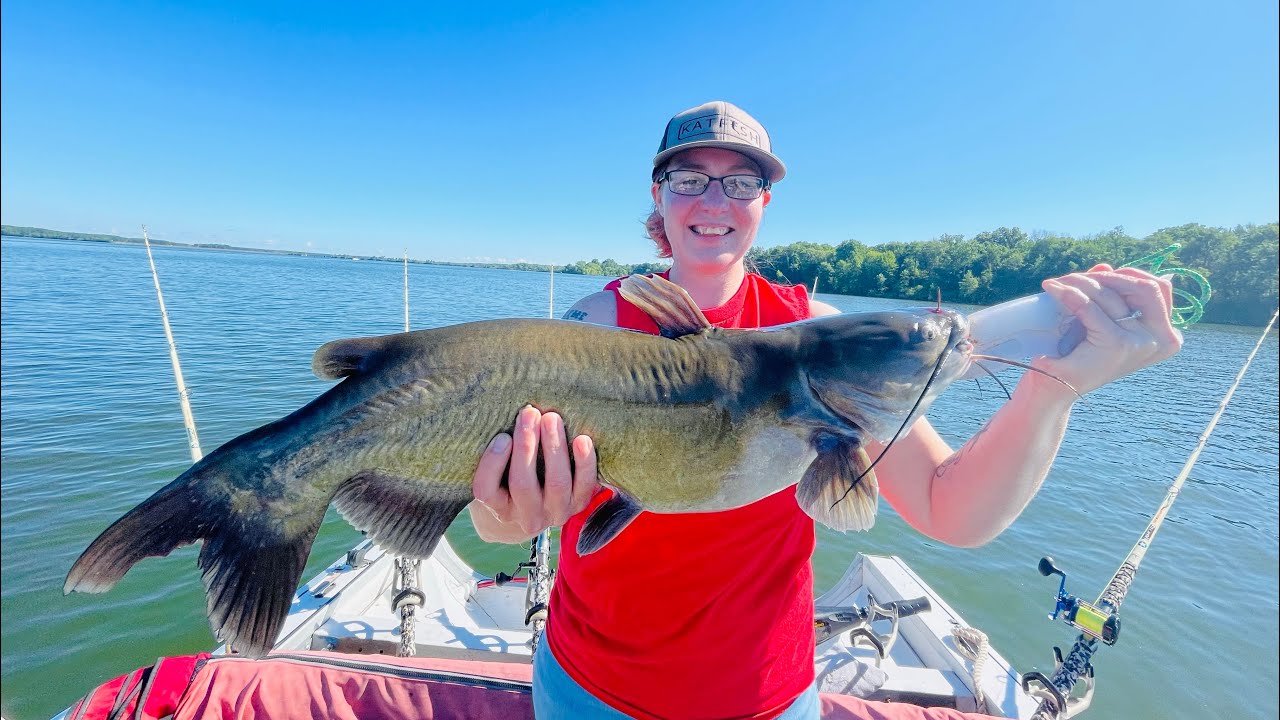 BIG channel catfish taking drag!!! (Mosquito Lake) - YouTube