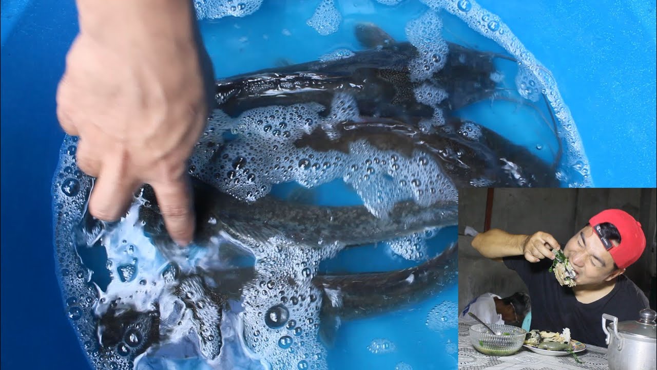 PALTAT" Tinola || Manamis Namis ang Sabaw! tinolang hito || - YouTube