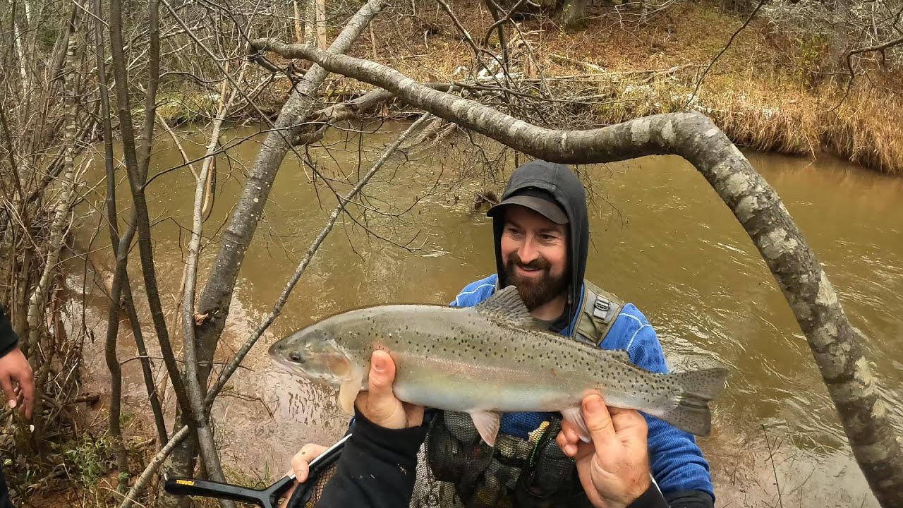Wisconsin Trout Fishing - Up North 2nd round, last round? - YouTube