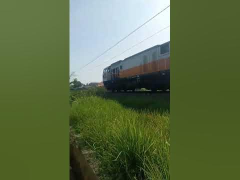 Ka 223B/Joglosemarkerto ft CC 2061369 YK #shorts #fyp #shorts #fyp - YouTube