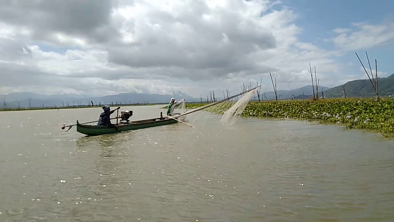 Cara mencari ikan dengan jaring - YouTube