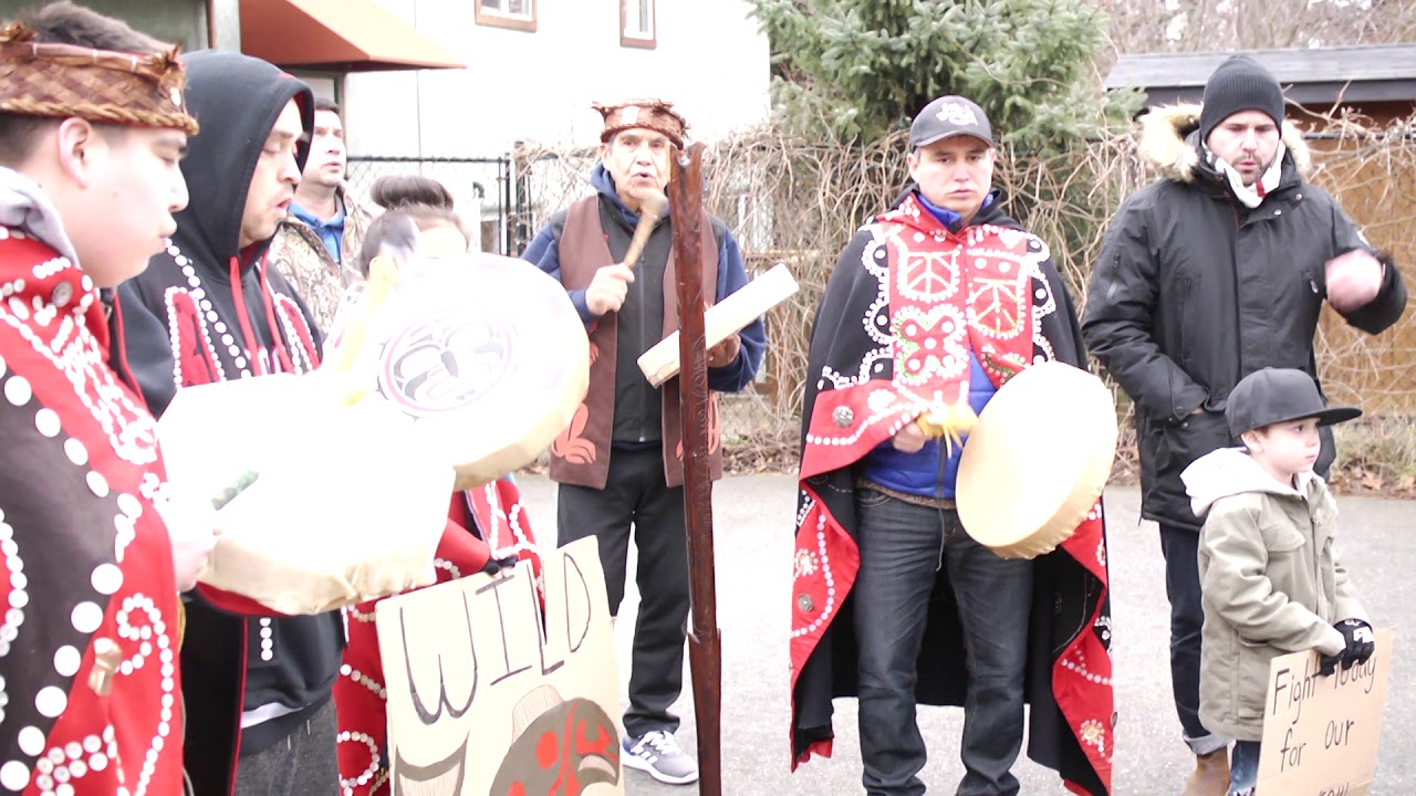 The Salmon Song - YouTube