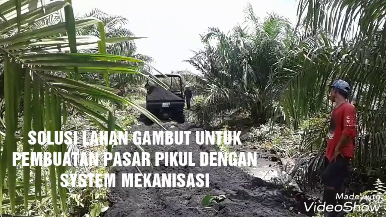 Mekanisasi perkebunan kelapa sawit penimbunan pasar pikul di lahan ...