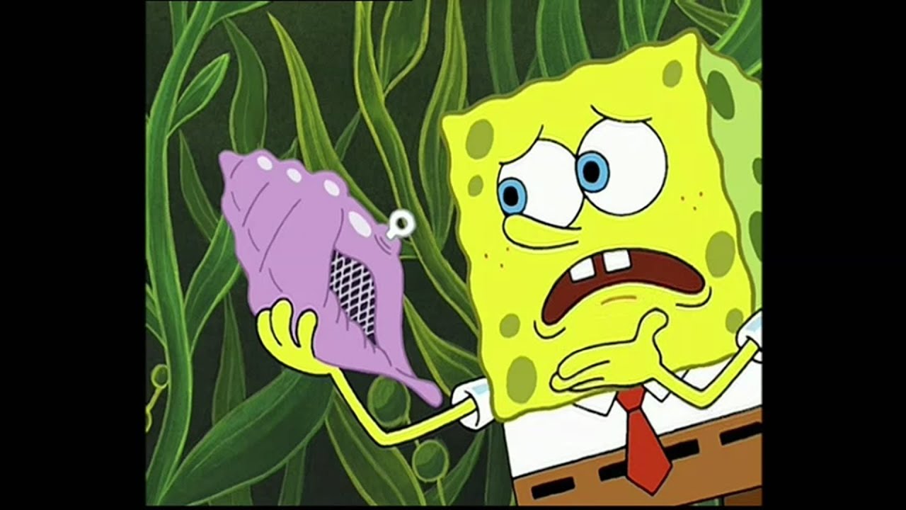 De Magische Schelp (Dutch) - YouTube