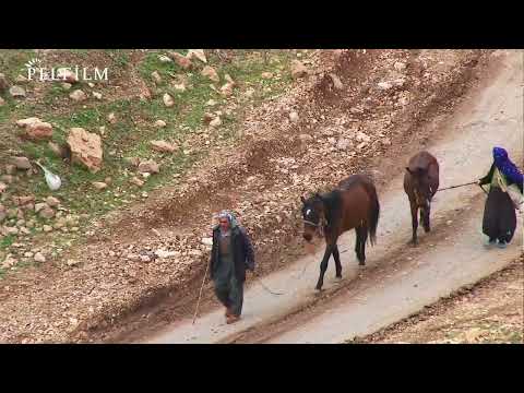 DÊRA HÎNÊ - DENGBÊJ HENÎFE Û KURDÊ