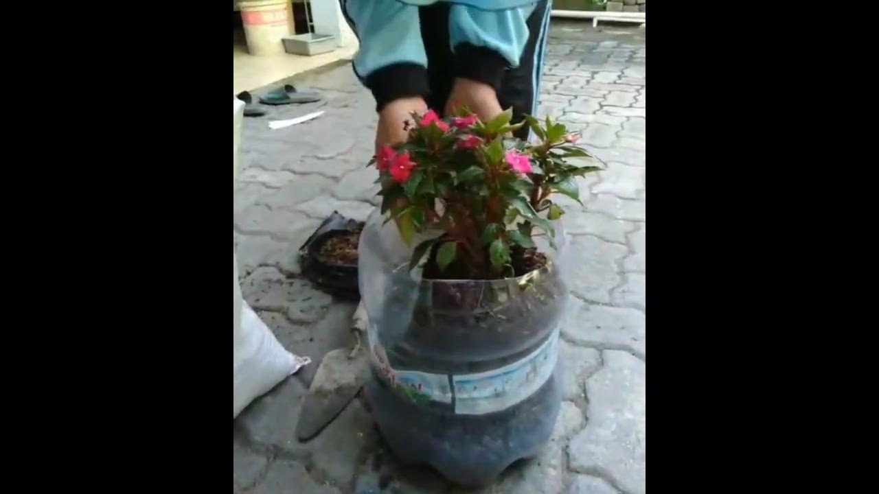 UJI TKK JURU KEBUN TINGKAT PURWA|Pangkalan MTs Negeri 2 Kota Semarang - YouTube